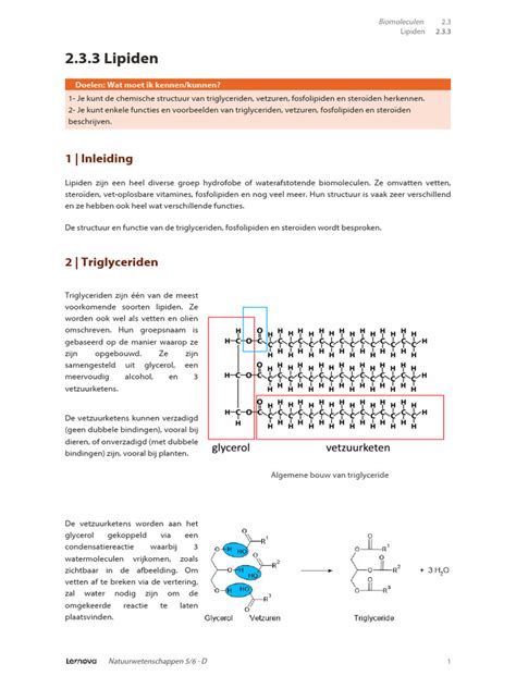 2 3 3 Lipiden Pdf