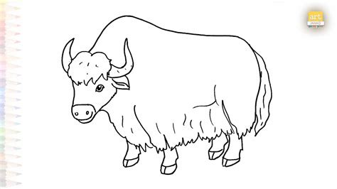 Yak Easy Drawing Animal Art Tutorial How To Draw A Yak Step By Step