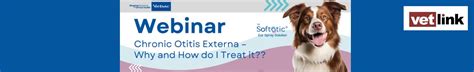 Virbac Chronic Otitis Externa Why And How Do I Treat It Watch