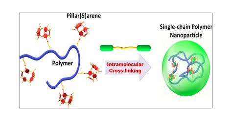Formation Of Supramolecular Polymer Network And Single Chain Polymer