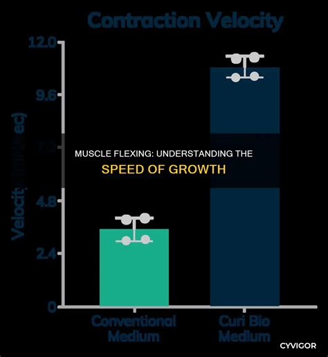 Muscle Flexing Understanding The Speed Of Growth Cyvigor