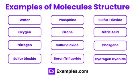 30 Molecular Structure Examples