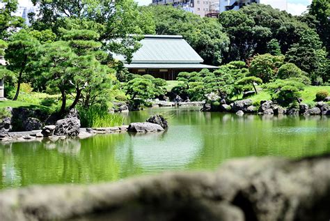 Kiyosumi Gardens The Official Tokyo Travel Guide Go Tokyo