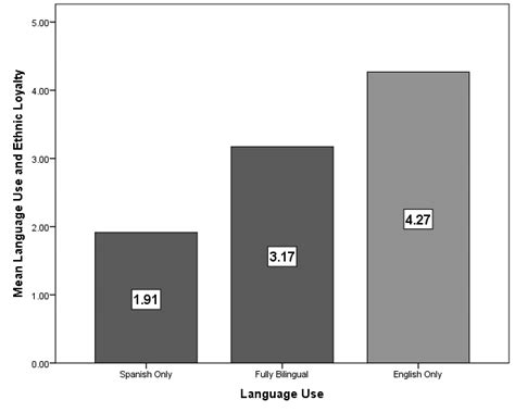 Bar Graph On Language Spoken At Home And Language Use And Ethnic