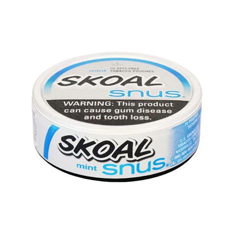 Skoal Pouches Mint