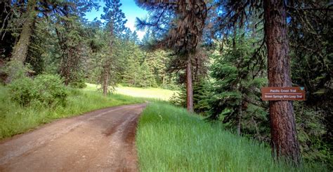 Green Springs Mountain Rogue Valley Oregon