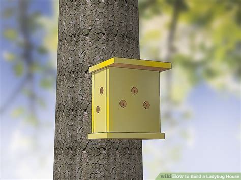 How To Build A Ladybug House Easiest Method