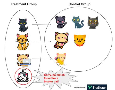 The Five Steps Of Matching In Causal Inference Elle Phuong Le