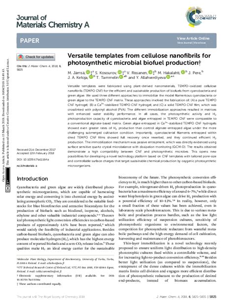Pdf Cellulose Nanofibrils For Biofuel Production