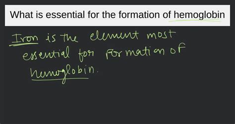 What Is Essential For The Formation Of Hemoglobin Filo