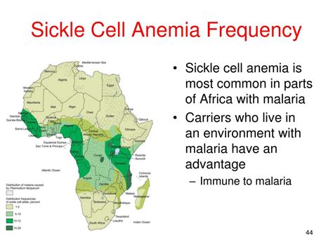 Simplemind Map For Sickle Cell Anemia Kerymystery