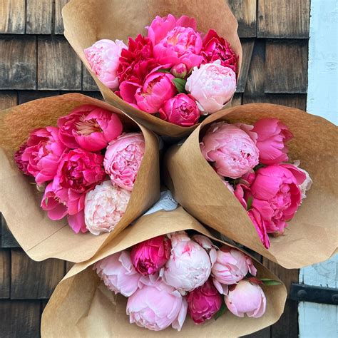 Peonies Flower Bouquet Best Flower Site
