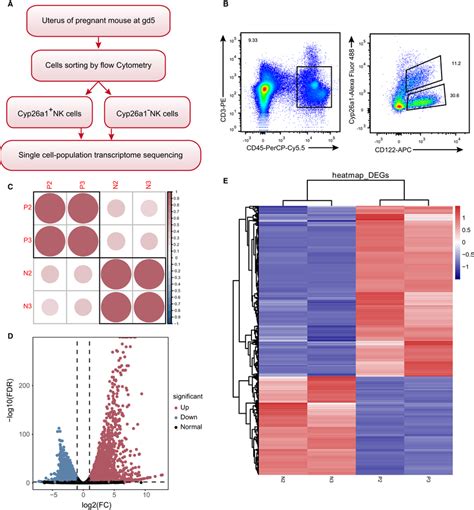 Transcriptome Sequencing And Differentially Expressed Gene Analysis A Download Scientific