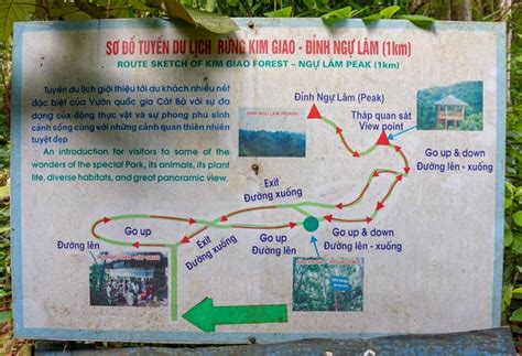 The Ultimate Guide Cat Ba Island Vietnam