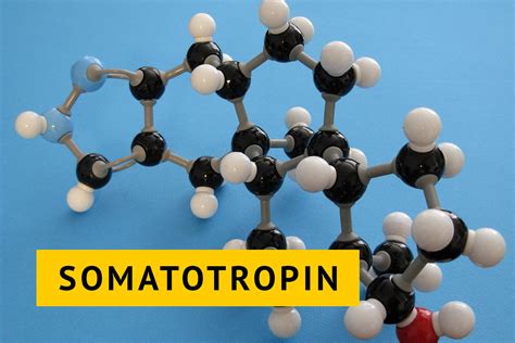 Гормон роста Соматотропин