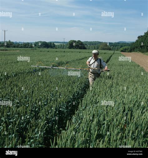 Scientist With Specially Designed Plot Sprayer Spraying Wheat Field