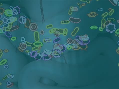 Is Gaba The Same As Gabapentin Troscriptions®