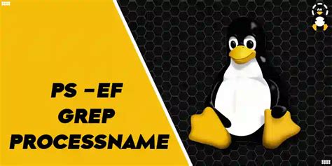 What Does “ps Ef Grep Processname” Command Mean In Linux Its