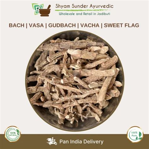 Sweet Flag Root At ₹ 160kg Acorus Calamus Root In Hyderabad Id