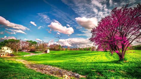 Spring Landscape Wallpapers Top Free Spring Landscape Backgrounds