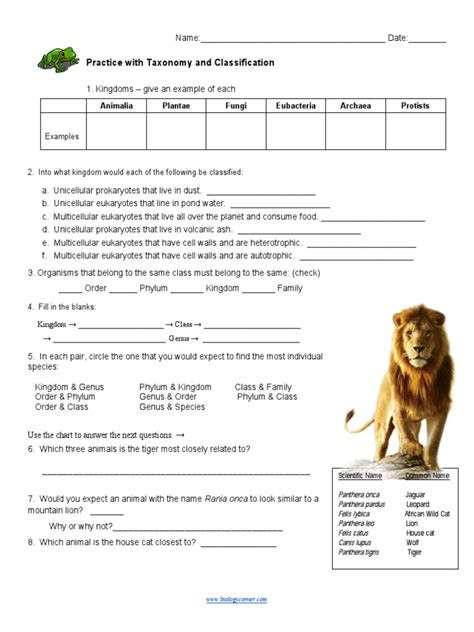 Practice With Taxonomy And Classification Pdf Panthera Biological