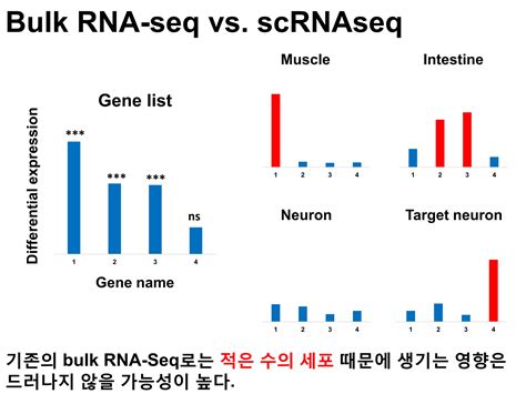 Single Cell Rna Sequencing Pdf