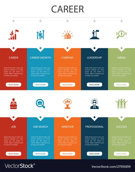 Career Infographic 10 Option Ui Designcompany Vector Image