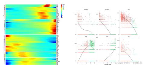 单细胞数据能解答哪些生物学问题？——进阶单细胞分析 单细胞表达某个基因的细胞与其他细胞相关性 Csdn博客