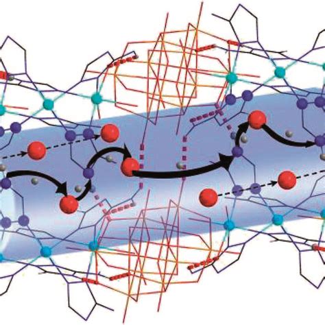 Schematic View Of The Possible Proton Conductive Pathways In Complex 1