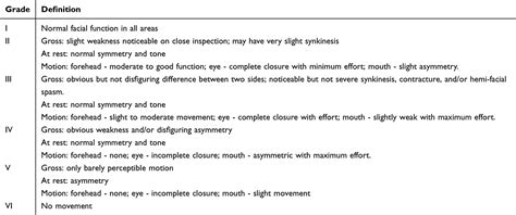 Table 1 House Brackmann Facial Nerve Grading System