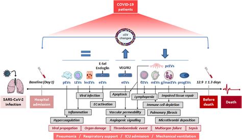 European Journal Of Clinical Investigation Vol 55 No 2