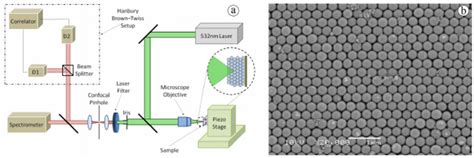 A Schematic Of Confocal Fluorescence Detection System Including