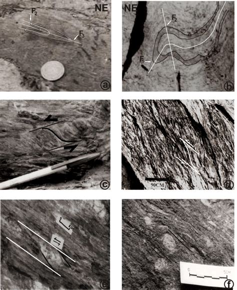 Representative Structures Of Interference Patterns And Different Stages Download Scientific
