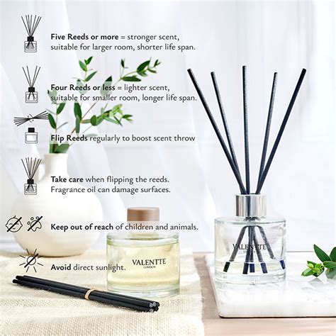 100ml Diffuser Refill Patchouli And Eucalyptus