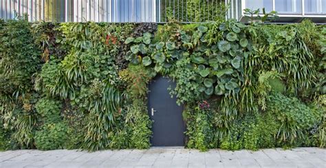Jardines Verticales 9 Pasos Cómo Hacer Un Jardín Vertical En Casa Y Terraza Ovacen