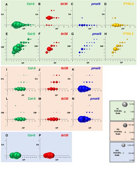 Enzymatic Profiling Reveals The Hg Acetylation Qualitative Phenotype Of Download Scientific