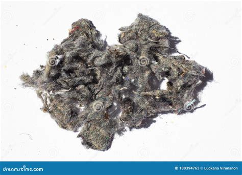 Dust Fluff Remnant Of Clothes On Laundry After Removing From Clothing Dryer On White