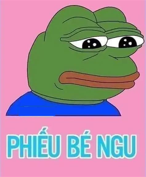 Meme Ngu Trào Lưu Hài Hước Gây Bão Trên Mạng Xã Hội