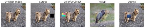 Colorful Cutout Enhancing Image Data Augmentation With Curriculum