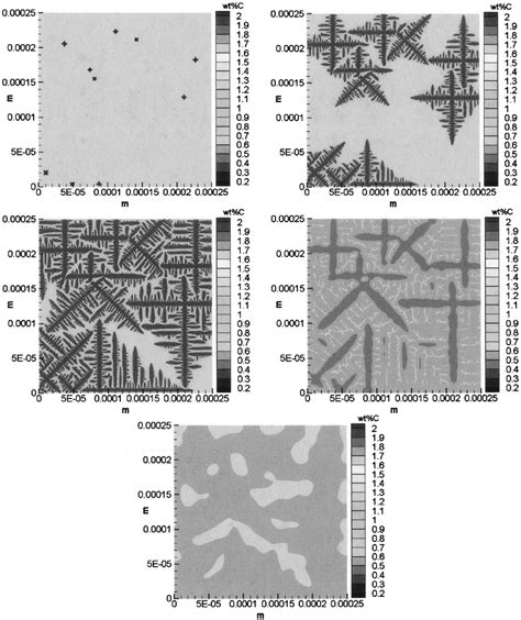 Simulated Composition Field During Solidification Of Fe 06 Wt Pct C