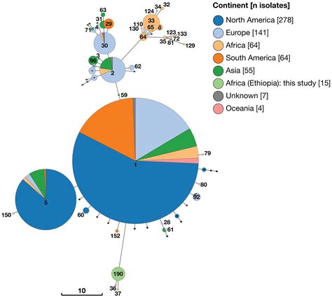 Frontiers Whole Genome Sequencing Of Ethiopian Brucella Abortus