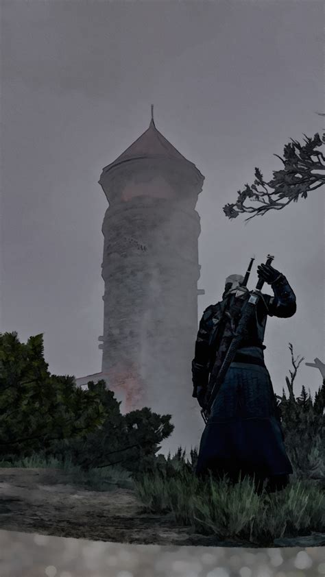 배경 화면 마술사 Witcher 3 와일드 헌트 2160x3840 Z394564489q 1662583 배경 화면