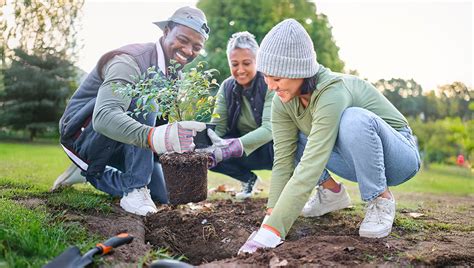 Intouchcx Acquires Mexico Based Contact Center Beliveo Intouchcx