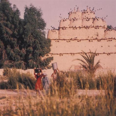 Tunis Fields ‘izbat An Nāmūs Precios Actualizados 2025