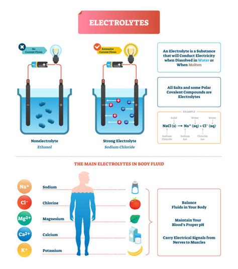Blank Electrolyte Chart