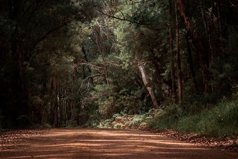 The Tree Change Phenomenon Why People Change Their Lives And Choose Nature Benlin Homes