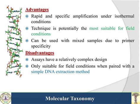 Molecular Taxonomy Pptx
