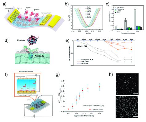 A Schematic Of The Aptamer Functionalized Graphene Fet Biosensor B Download Scientific