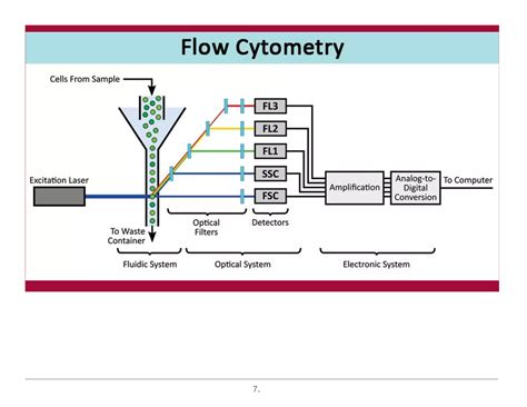 Flowcytometry And Sexed Semen Ppt