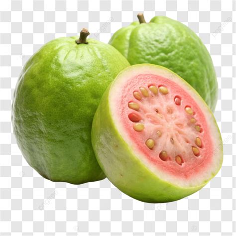 트로피컬 구아바 트리오 구아바 과일 열대 과일 Png 일러스트 및 이미지 에 대한 무료 다운로드 Pngtree